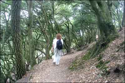 Mawnan and Mawnan Smith Cornwall, tourist guide & map, events ...