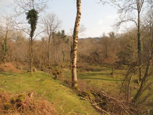 Cabilla and Redrice Woods Nature Reserve Cornwall, tourist guide & map ...